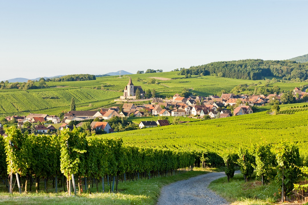 Les plus belles routes des vins : Alsace, Bourgogne, Bordeaux
