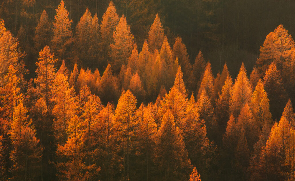 Où partir en automne en France : top 5 des idées de vacances