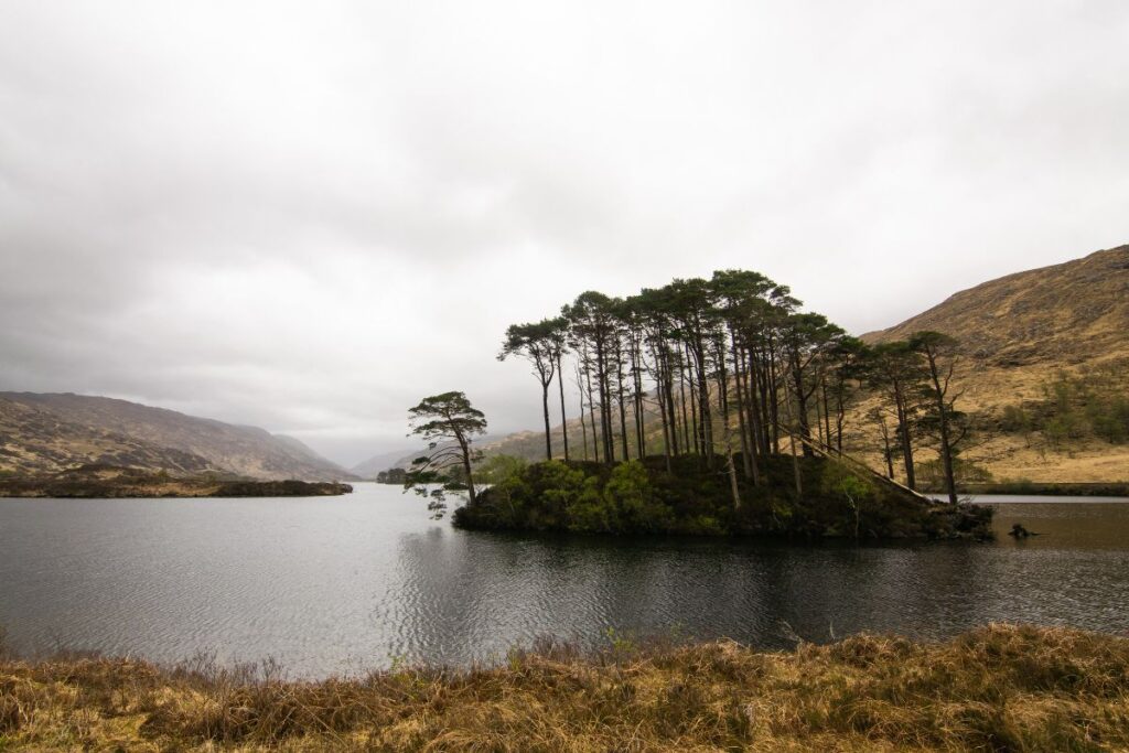 Road trip lacs ecossais : 10 lochs de légende en un road trip - SIXT